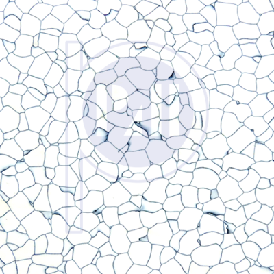 Products Filter By Category - Pro-Pack Materials Pte Ltd